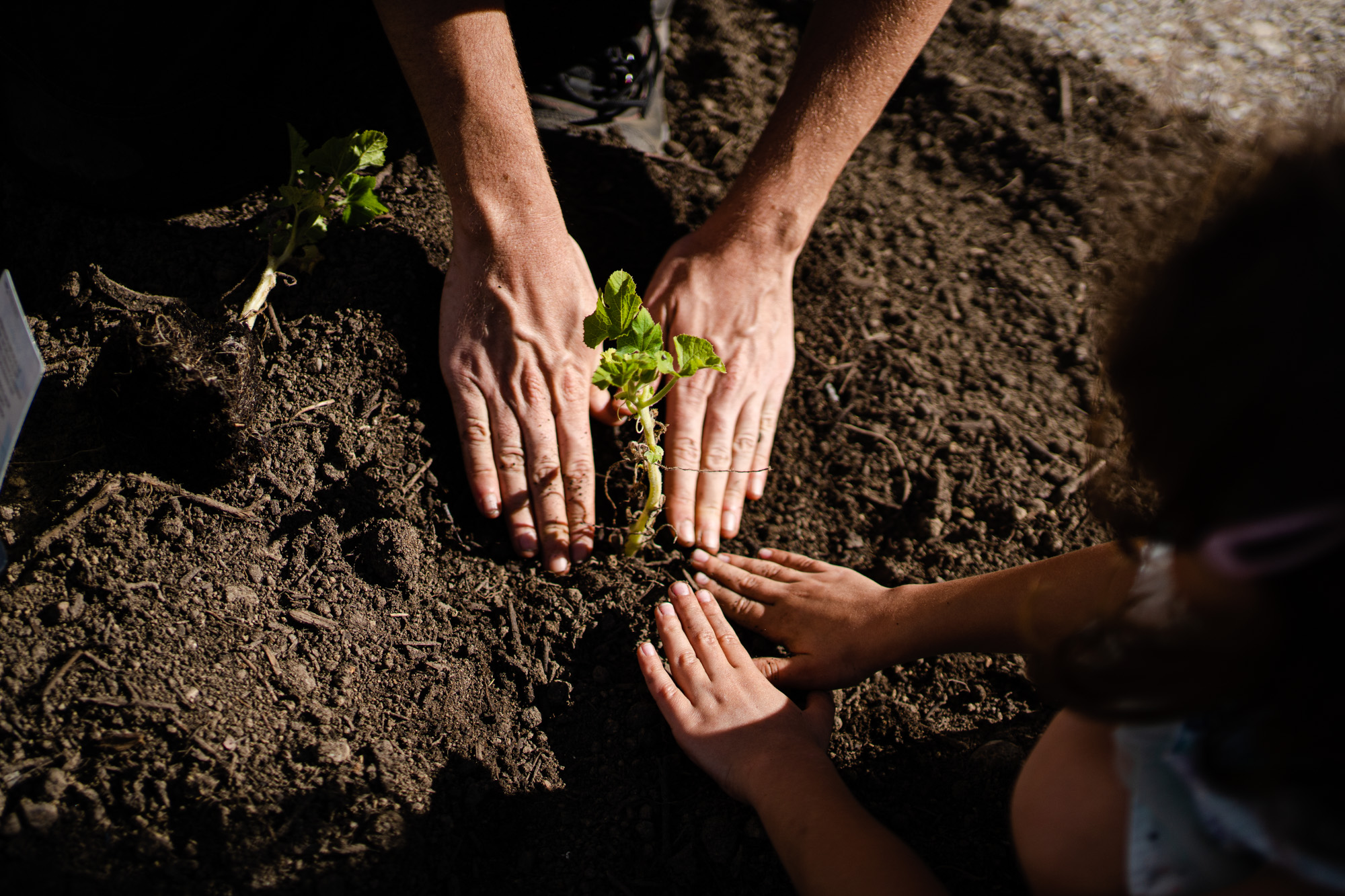 #8 Comprendre son sol - Pistyles